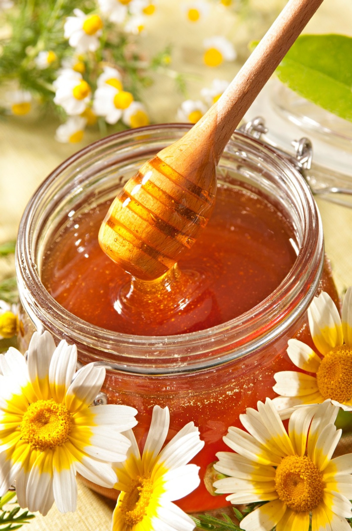 Buying Honey ThriftyFun Buying Honey ThriftyFun