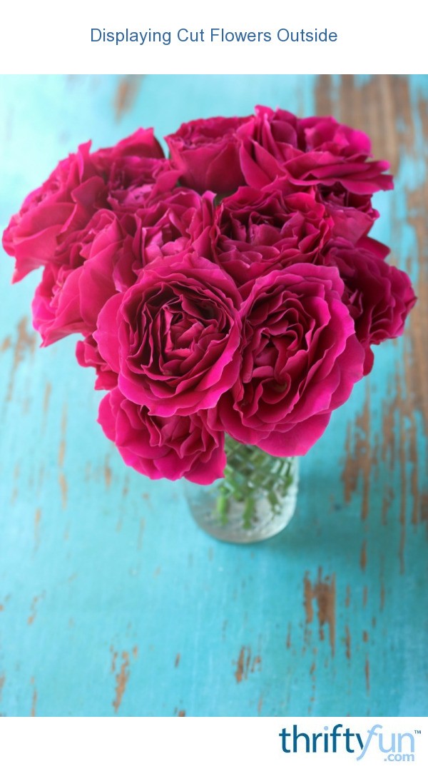 Displaying Cut Flowers Outside | ThriftyFun
