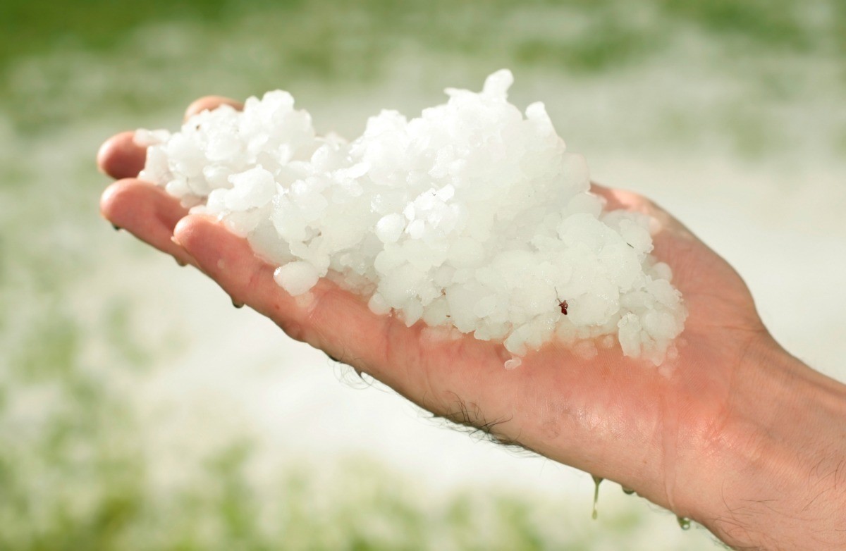 Hail Information and Photos? | ThriftyFun