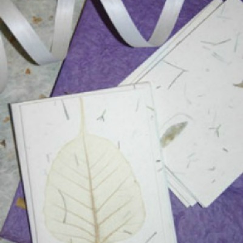 Making Homemade Paper You Can Plant | ThriftyFun