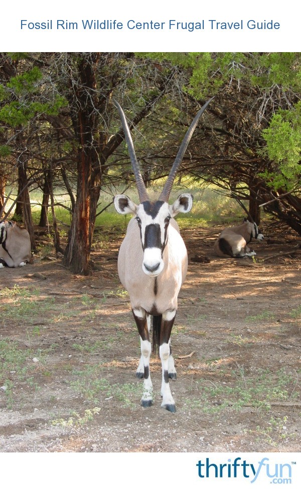 Fossil Rim Wildlife Center Frugal Travel Guide | ThriftyFun