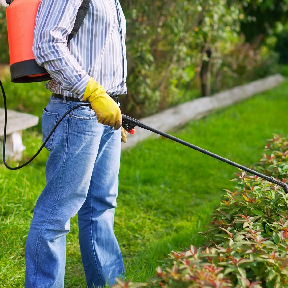 Homemade Insecticide Recipes | ThriftyFun