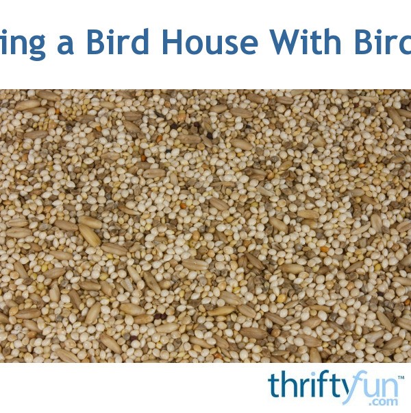 Covering a Bird House With Bird Seed? | ThriftyFun