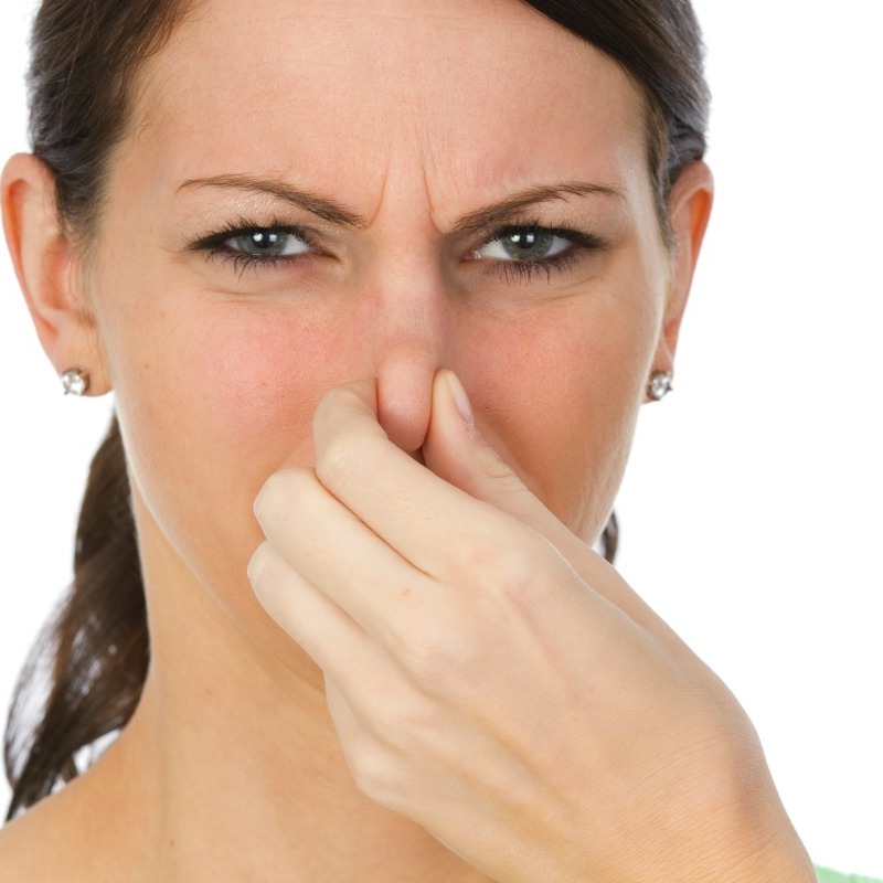 Locating the Source of a Foul Smell in House | ThriftyFun