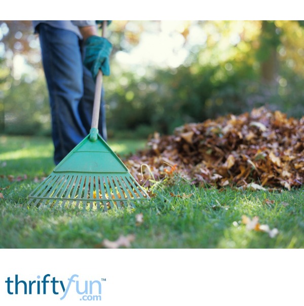 Using Leaves in the Garden | ThriftyFun