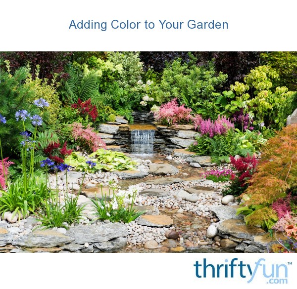 Adding Color to Your Garden | ThriftyFun