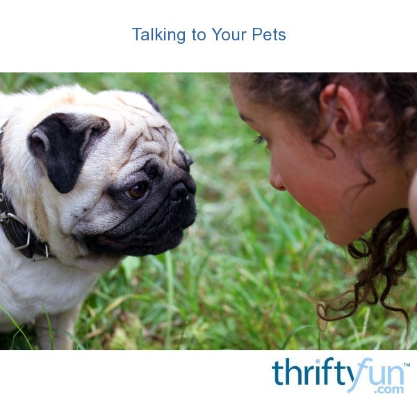 Talking to Your Pets | ThriftyFun