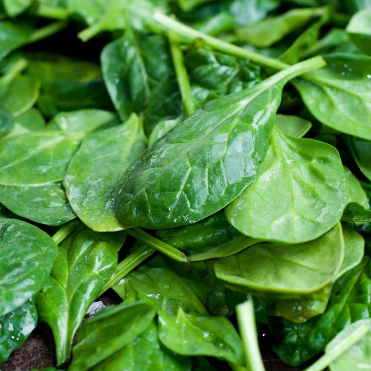 Cooking With Spinach | ThriftyFun