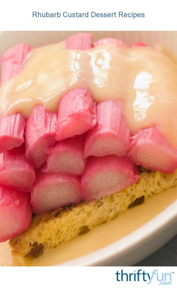 Rhubarb Custard Dessert Recipes | ThriftyFun