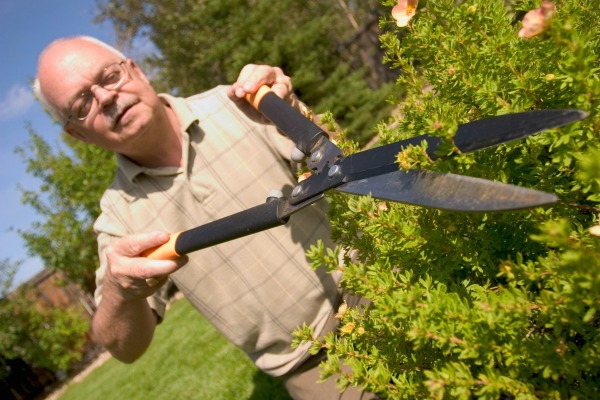 Cleaning Up After Trimming Bushes | ThriftyFun