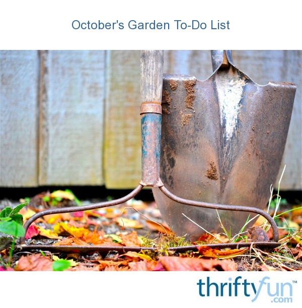 October's Garden To-Do List | ThriftyFun
