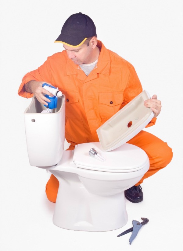 Repairing A Toilet ThriftyFun