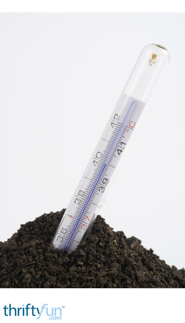 The Importance of Soil Temperature to Growing Plants | ThriftyFun