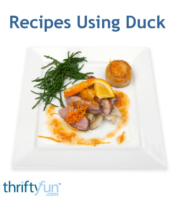 Recipes Using Duck | ThriftyFun