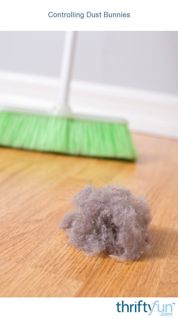 Controlling Dust Bunnies | ThriftyFun