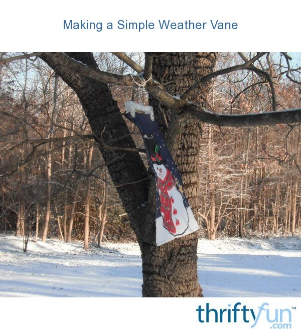 Making a Simple Weather Vane | ThriftyFun