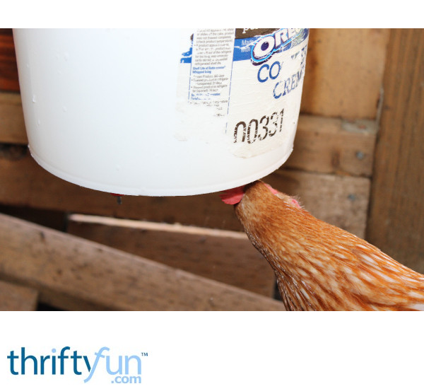 Bucket Chicken Waterer | ThriftyFun