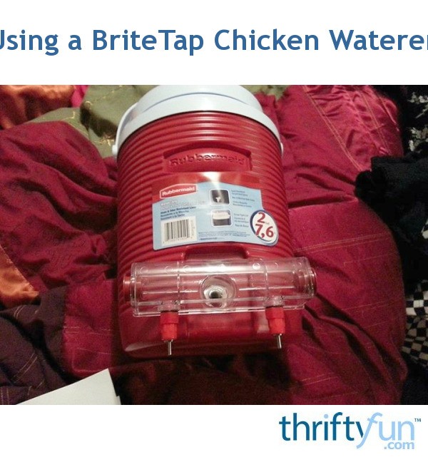 Using a BriteTap Chicken Waterer | ThriftyFun