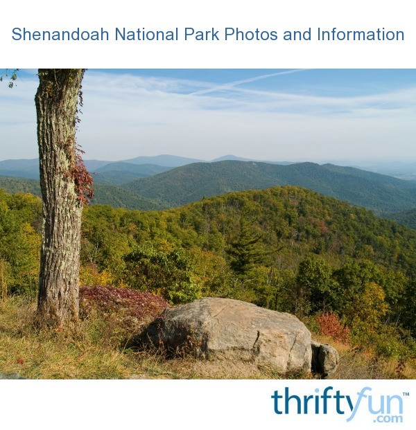 Shenandoah National Park Photos and Information | ThriftyFun