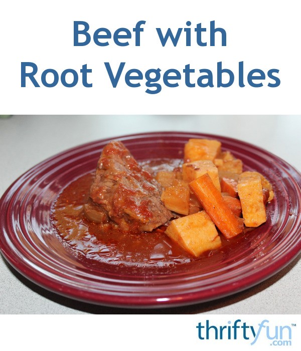 Slow Cooker Beef with Root Vegetables Recipe | ThriftyFun