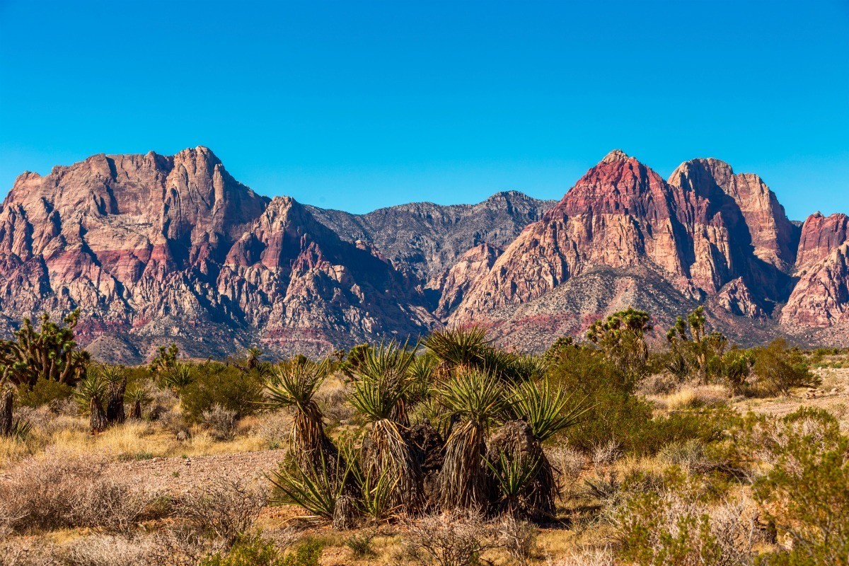 Red Rock Canyon State Park (CA) Photos | ThriftyFun