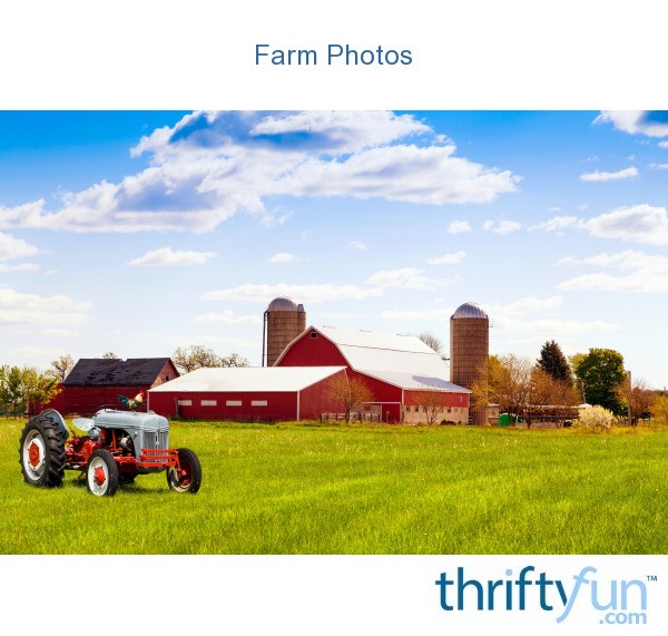 Farm Photos | ThriftyFun