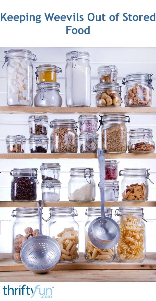 Keeping Weevils Out of Stored Food | ThriftyFun