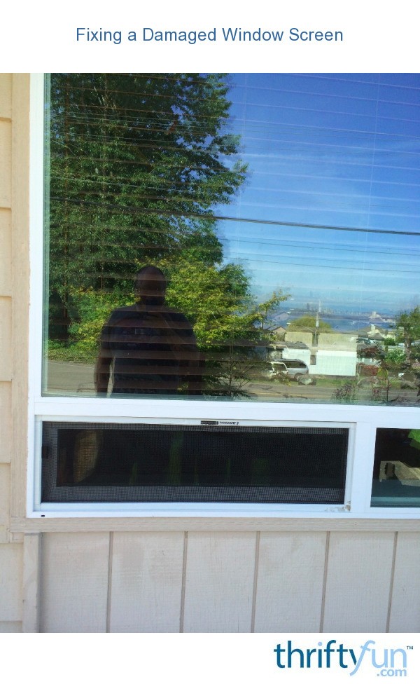 Fixing a Damaged Window Screen | ThriftyFun