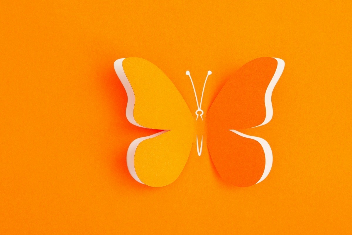 Butterfly Craft Ideas ThriftyFun