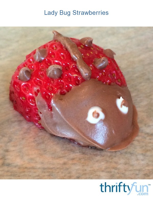 Lady Bug Strawberries | ThriftyFun