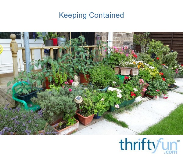 Keeping Contained | ThriftyFun