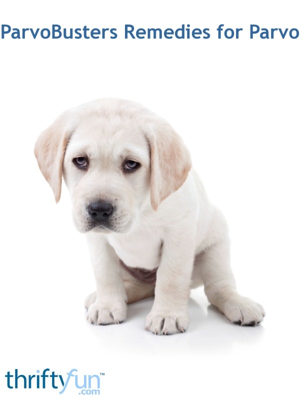 ParvoBusters Remedies for Parvo? | ThriftyFun