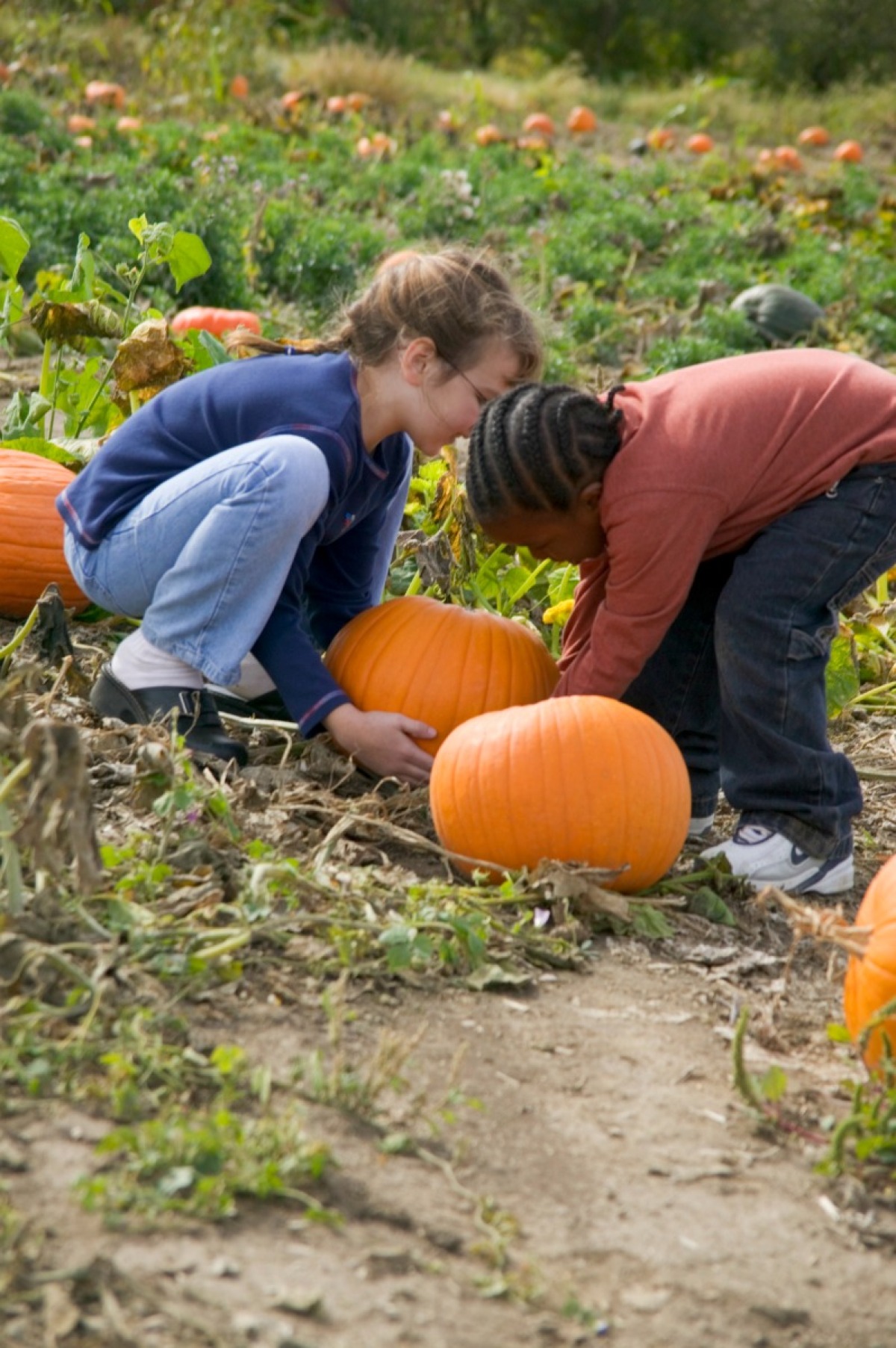 Visiting a Pumpkin Patch | ThriftyFun