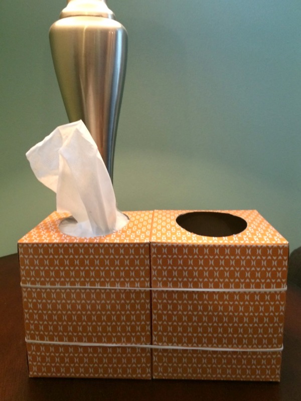 Using An Empty Tissue Box As Trash Can ThriftyFun