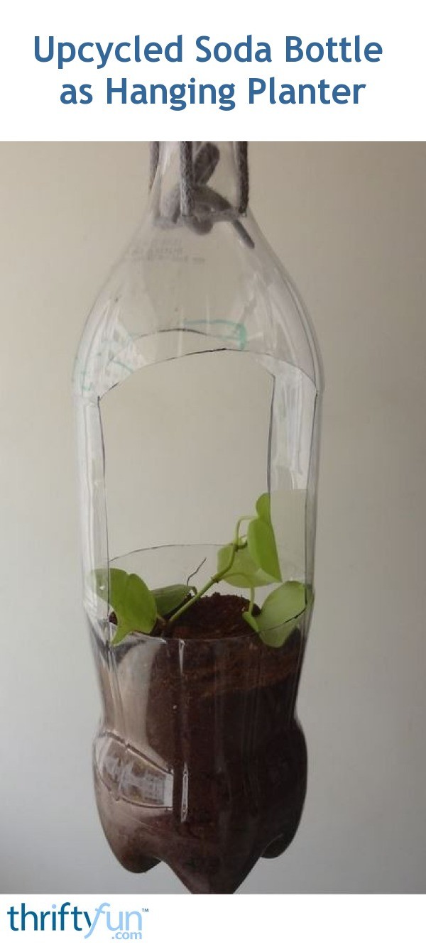 Upcycled Soda Bottle as Hanging Planter | ThriftyFun