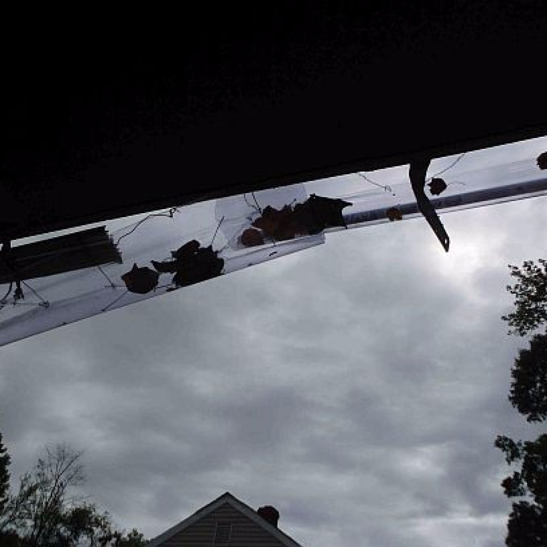 Crystal Clear Roof Rain Gutters | ThriftyFun
