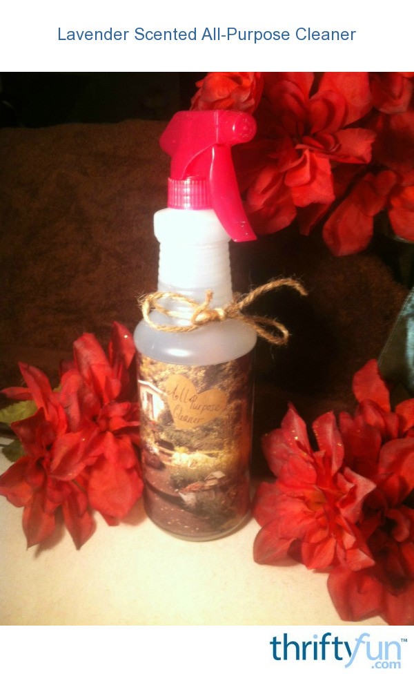 Lavender Scented All-Purpose Cleaner | ThriftyFun