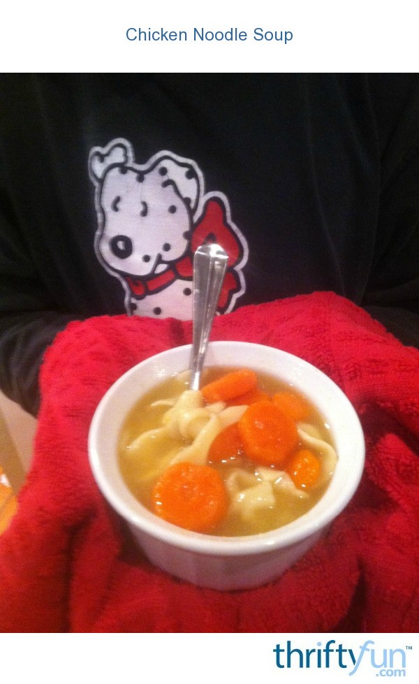 Chicken Noodle Soup | ThriftyFun