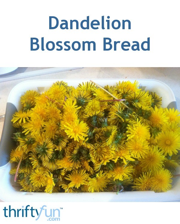 Dandelion Blossom Bread | ThriftyFun