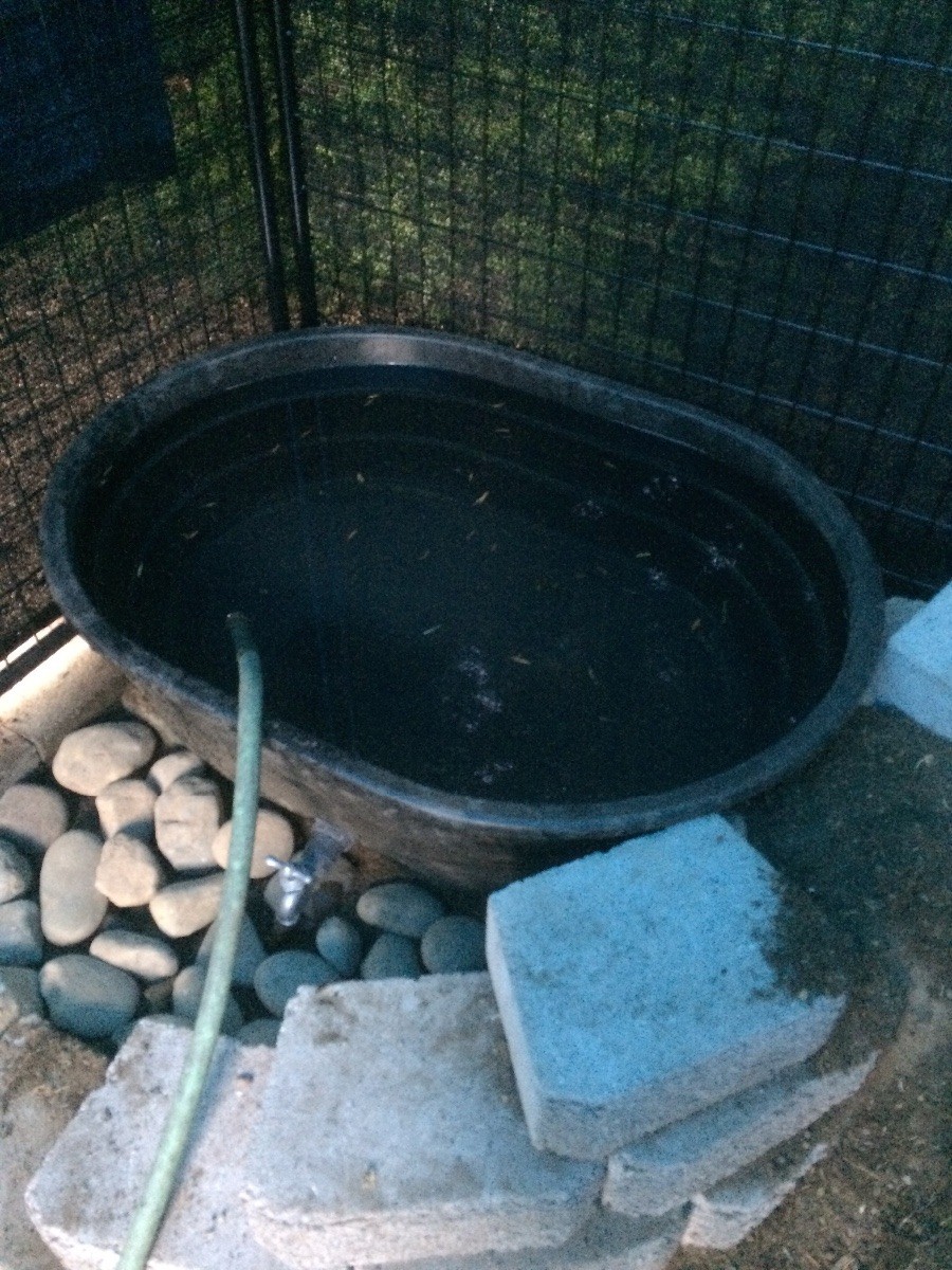 Making a Duck Pond | ThriftyFun