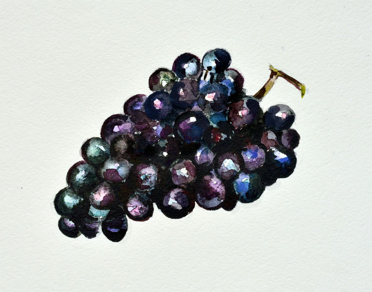Grape Themed Craft Projects | ThriftyFun