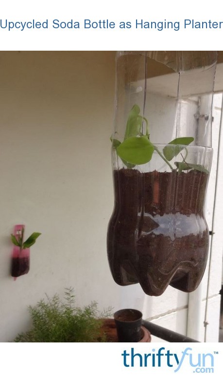 Upcycled Soda Bottle as Hanging Planter | ThriftyFun