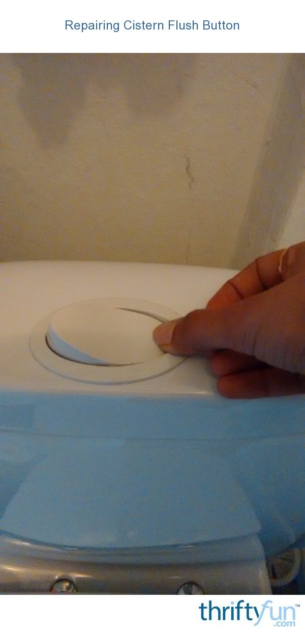 Repairing Cistern Flush Button? | ThriftyFun