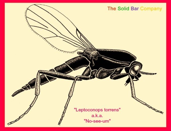 What Are Noseeums | ThriftyFun