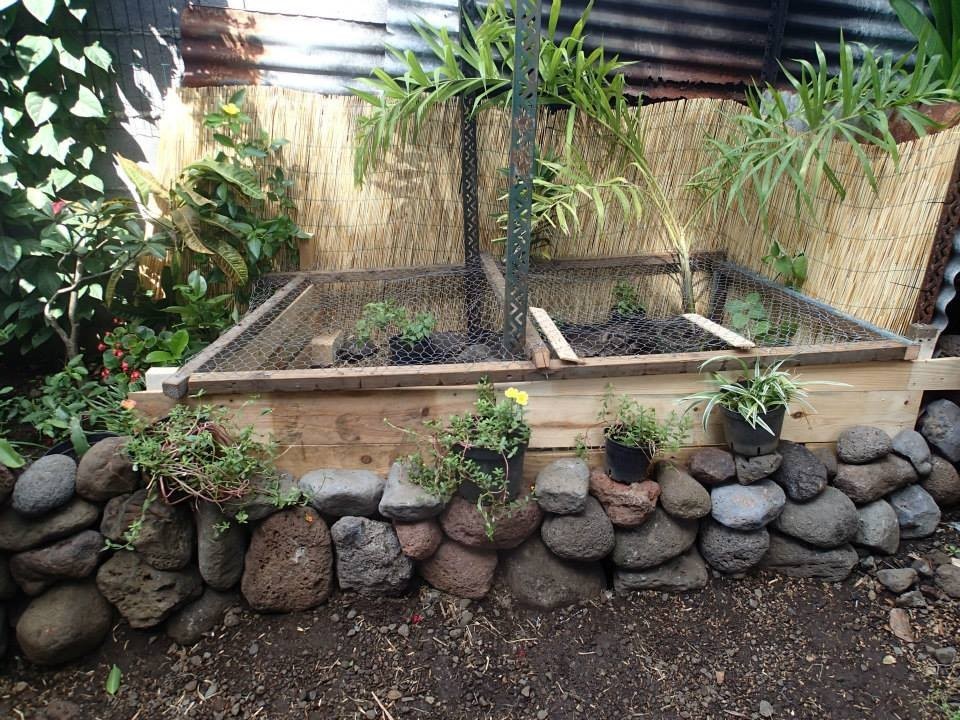 Building a Turtle Home in Your Garden | ThriftyFun