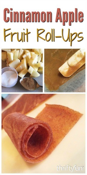Cinnamon Apple Fruit Roll-Ups | ThriftyFun