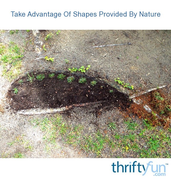 Take Advantage Of Shapes Provided By Nature | ThriftyFun