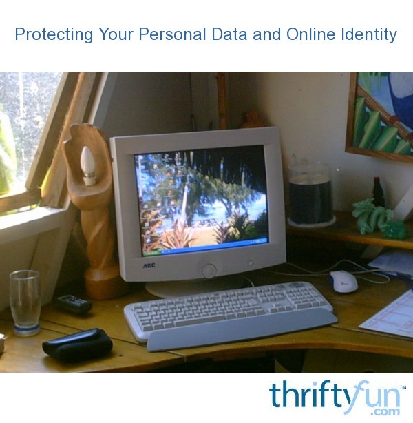 Protecting Your Personal Data and Online Identity | ThriftyFun