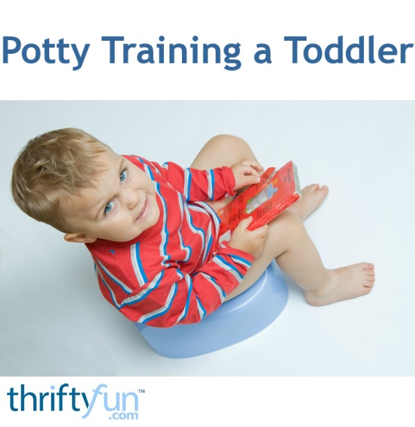 Potty Training a Toddler | ThriftyFun