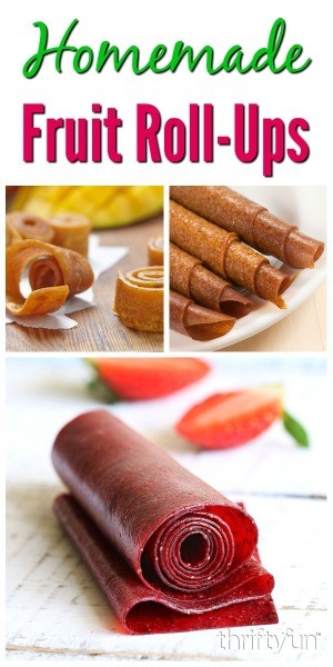 Homemade Fruit Roll Up Recipes | ThriftyFun